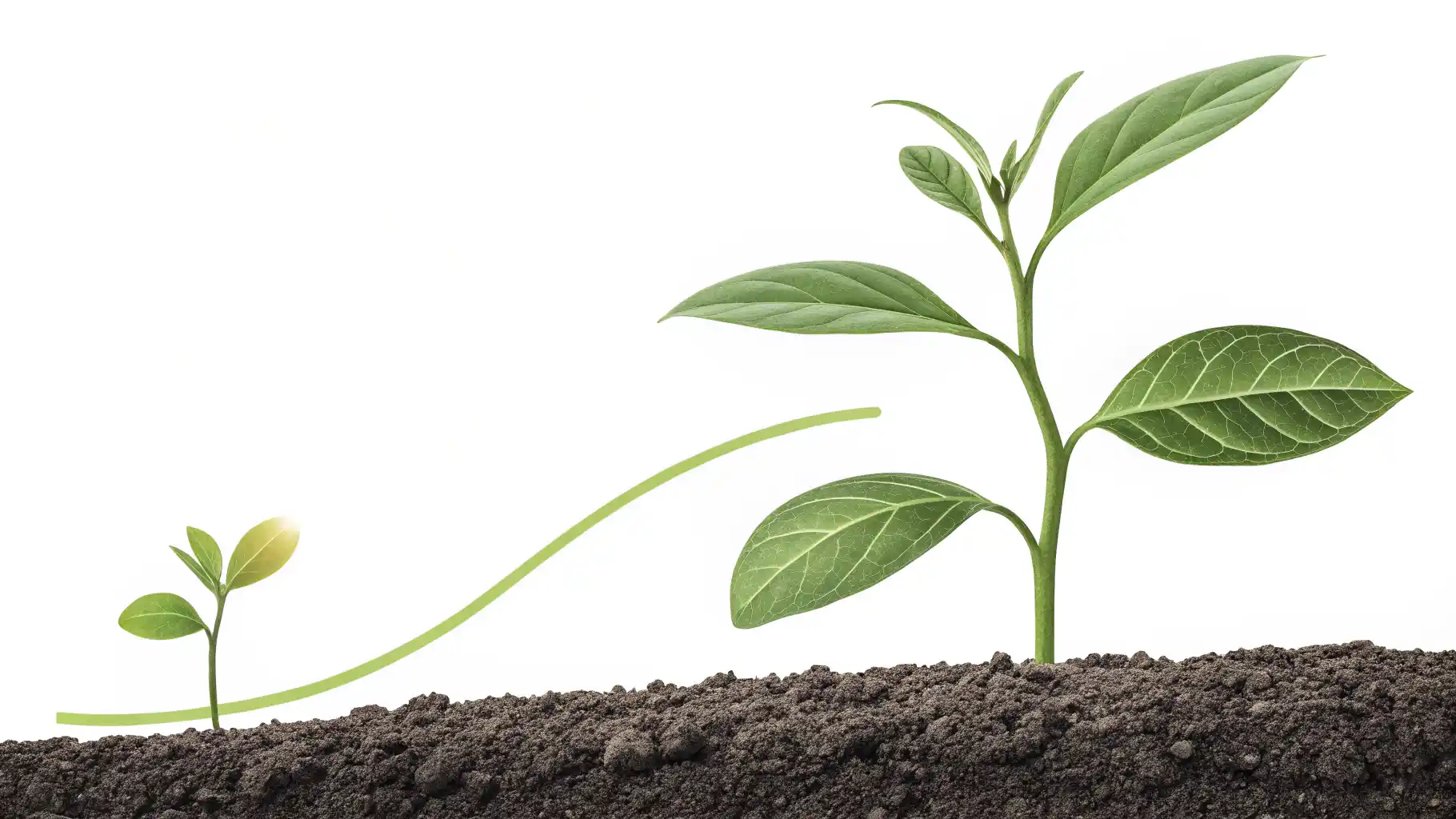 점진적 변화, 영어로 어떻게 말할까? Little by little vs. Gradually 완벽 비교 분석 - HARUENG